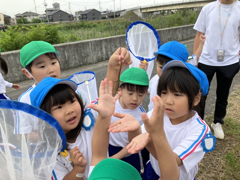 4・5歳児 笹ヶ瀬川プロジェクトmix｜まんまるこども園ブログ御南まんまるこども園